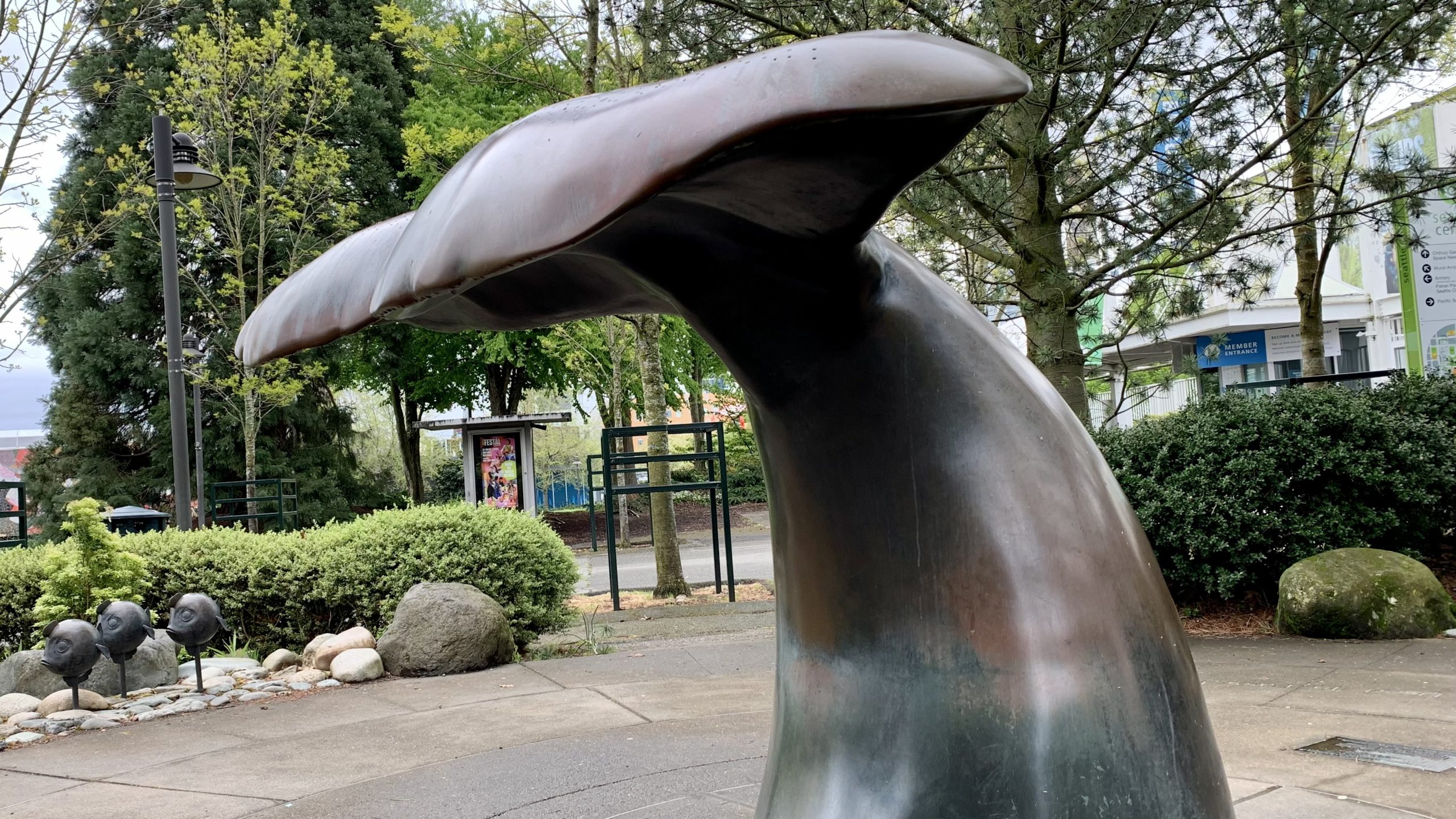 Baby Whale Tidal Pool - First Church Seattle