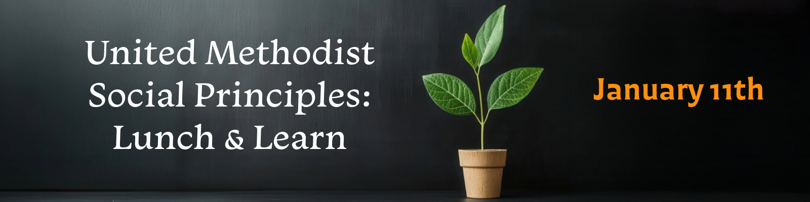 Lunch & Learn: United Methodist Social Principles - First Church Seattle